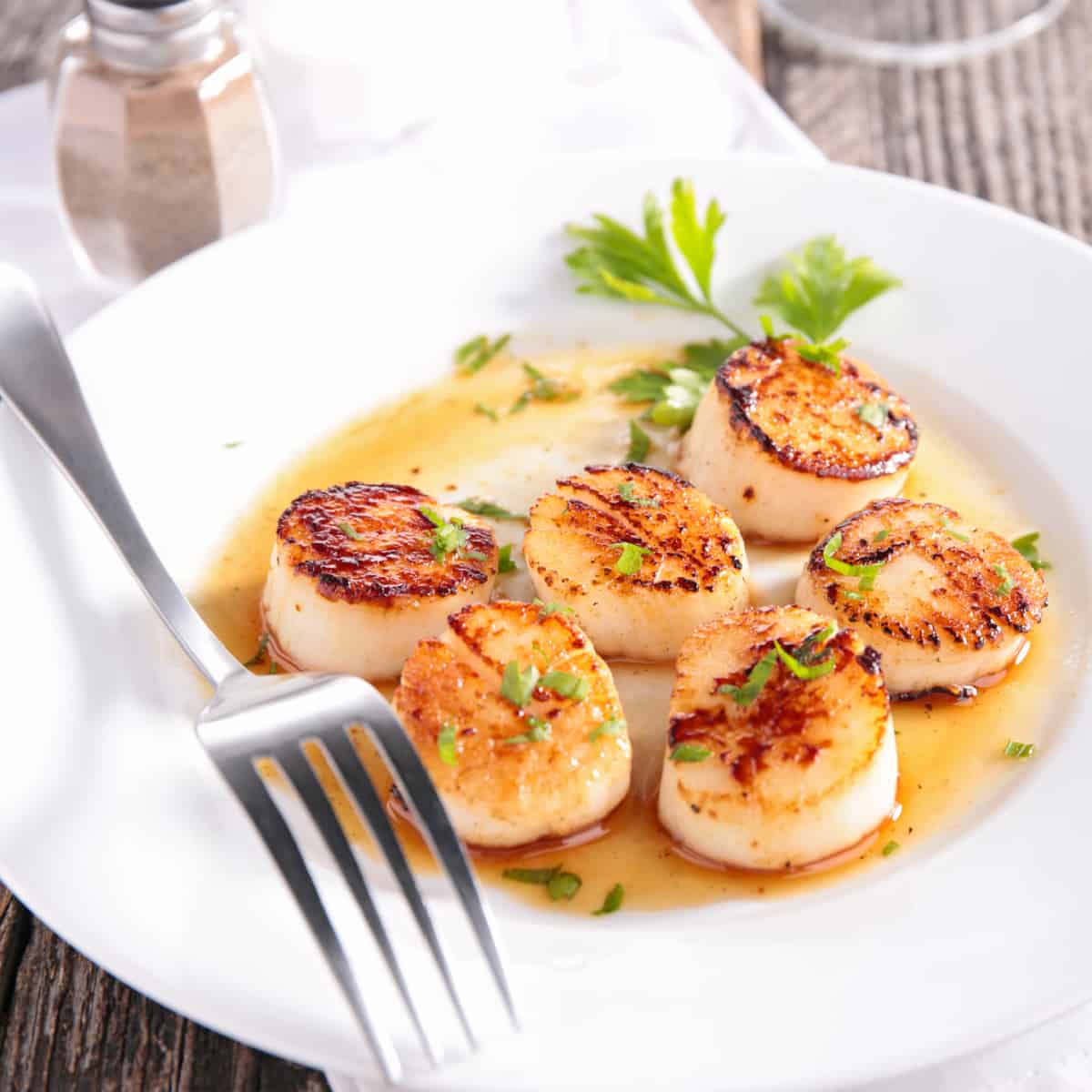 What are Scallops - Recipes and Info - Wow Easy Recipes